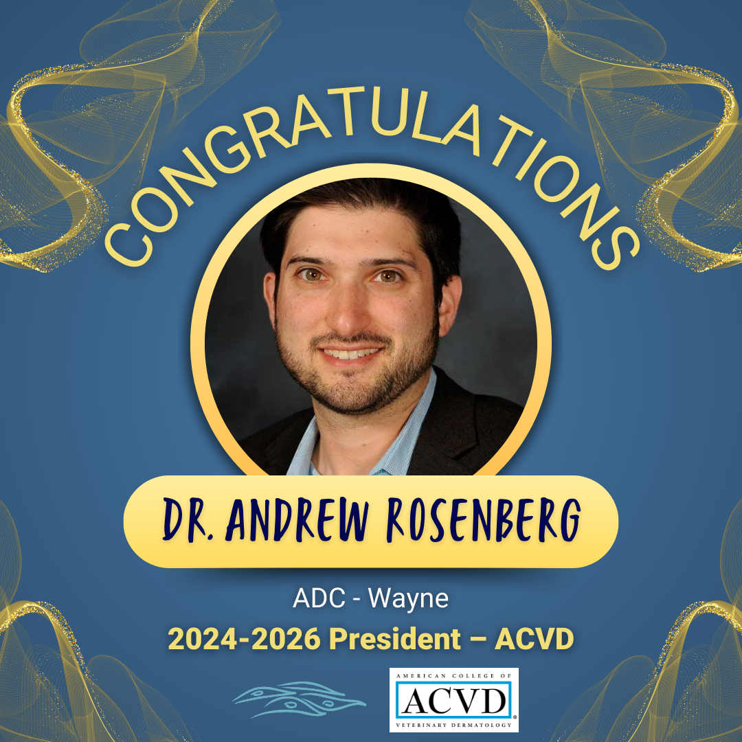 Celebrating Dr. Andrew Rosenberg as the New President of ACVD!